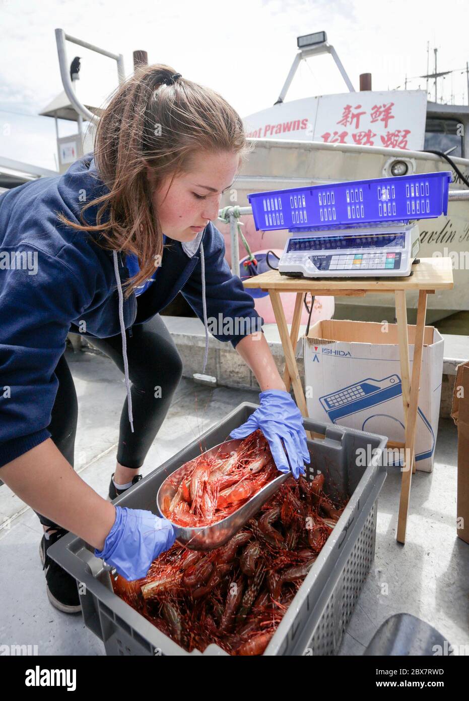 Prawn wharf hi-res stock photography and images - Alamy