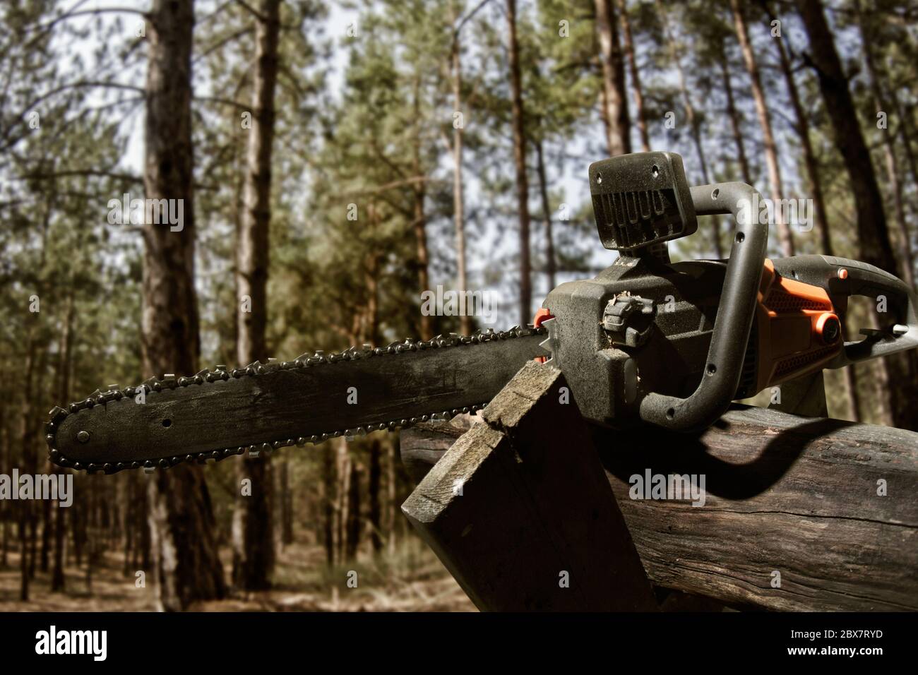 Chainsaw woodworking hi-res stock photography and images - Alamy