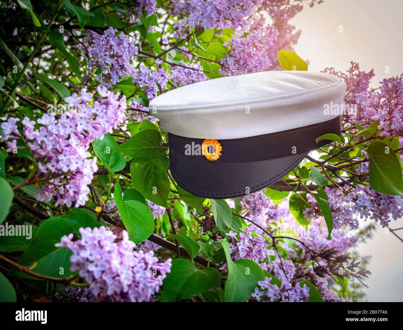 Swedish graduation cap Stock Photo - Alamy