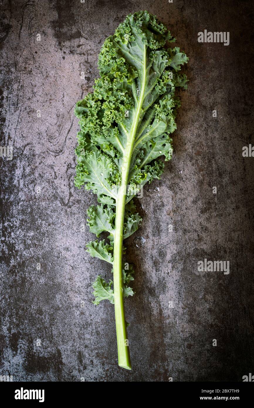 Single kale leaf hi-res stock photography and images - Alamy