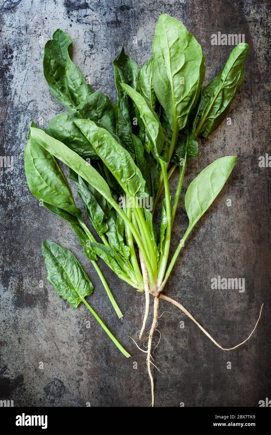 Spinach roots hi-res stock photography and images - Alamy