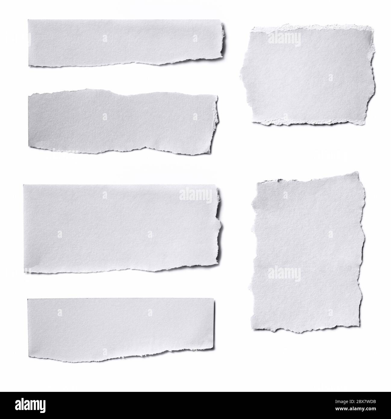 Collection of white paper tears, isolated on white with soft shadows ...