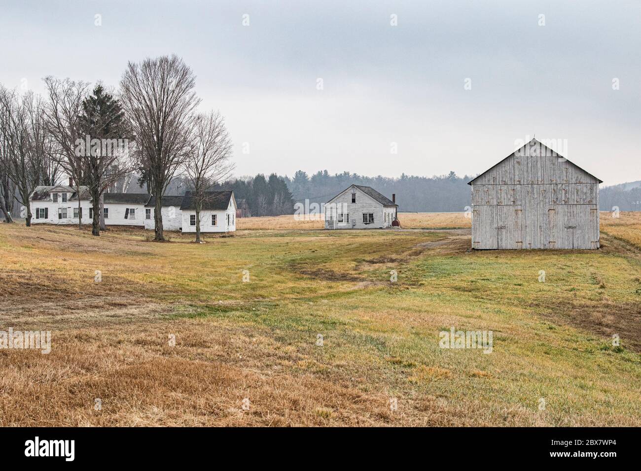 Hadley massachusetts hi-res stock photography and images - Alamy