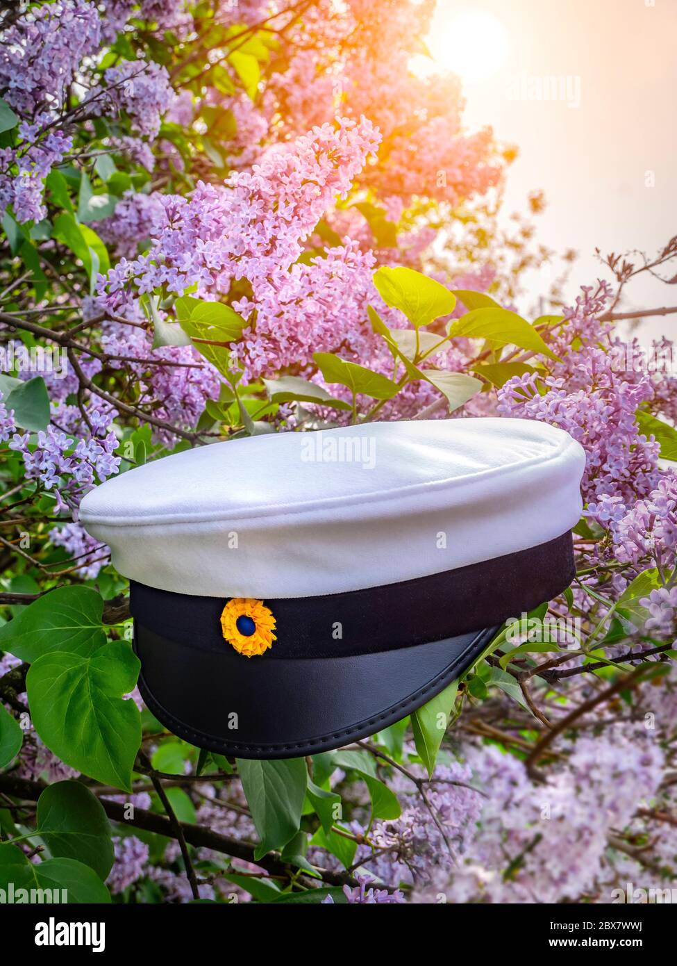 Swedish graduation cap Stock Photo - Alamy