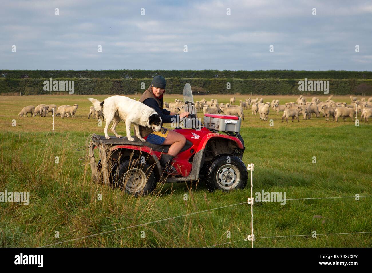 Farm quad bike hi-res stock photography and images - Alamy