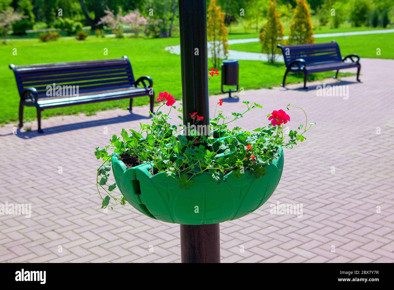 flower pot at pedestrian street , benches in the urban park Stock Photo ...