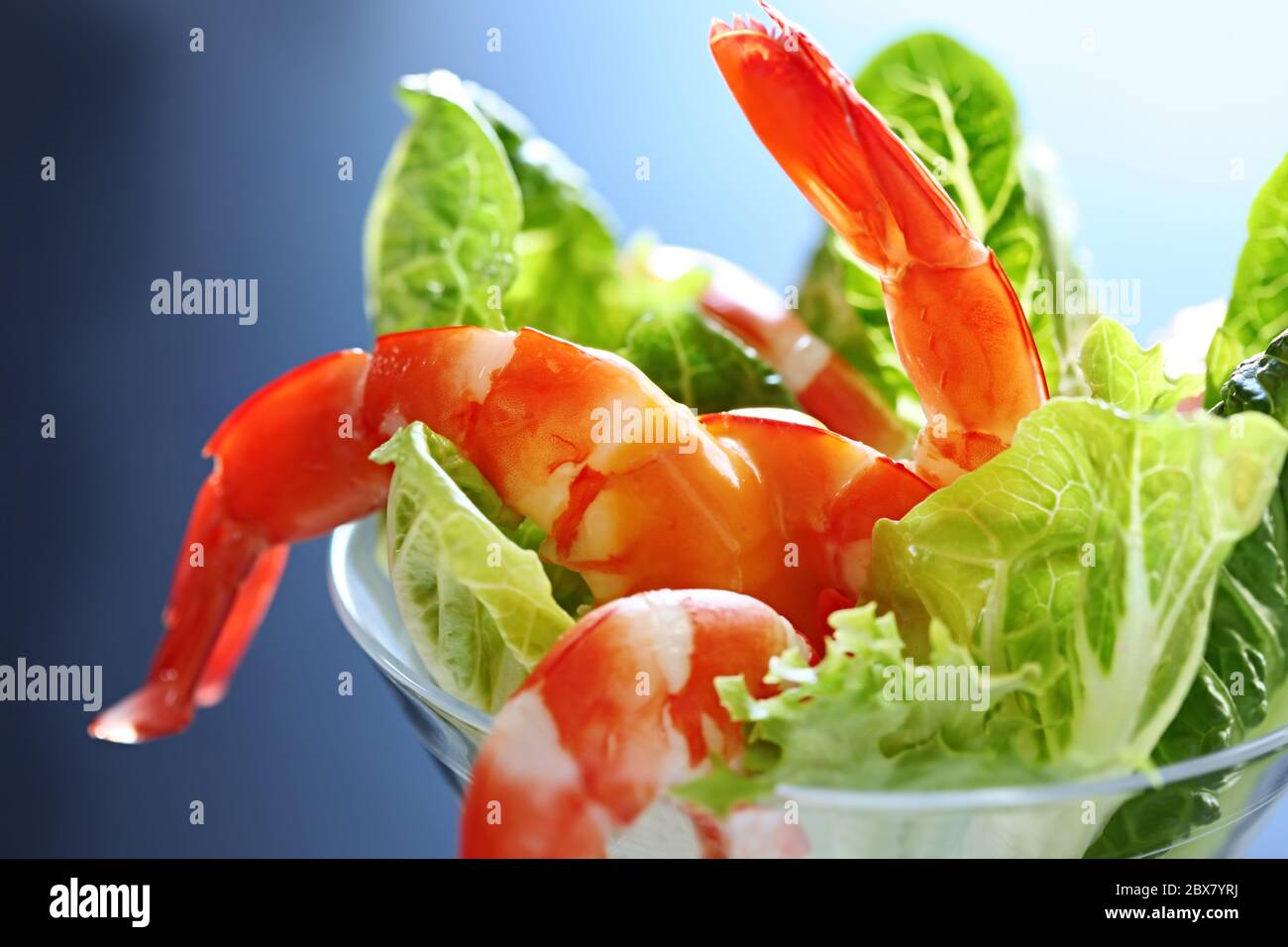 Shrimp cocktail with baby cos lettuce and creamy seafood sauce, in a ...