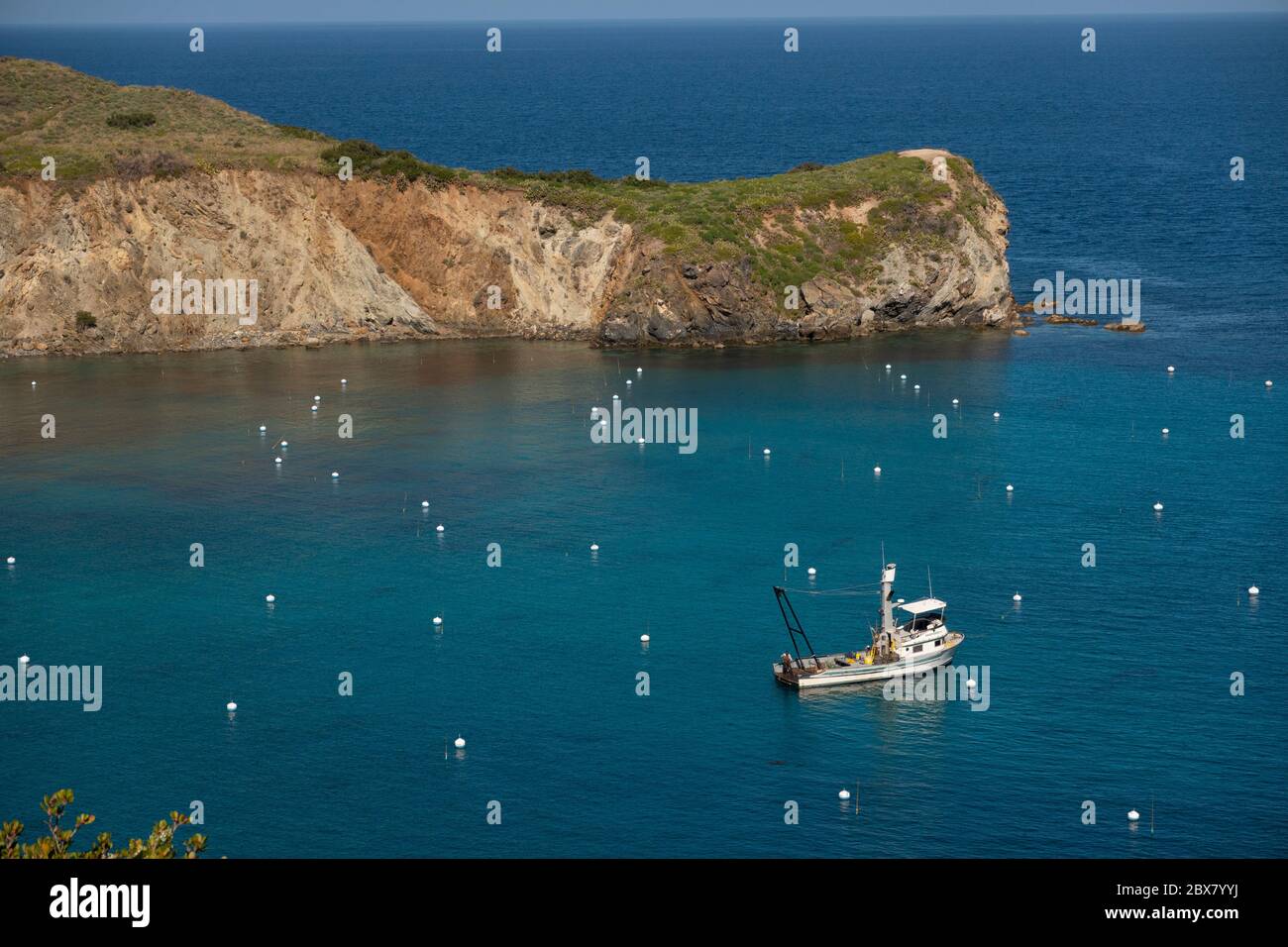 Lion point hi-res stock photography and images - Alamy
