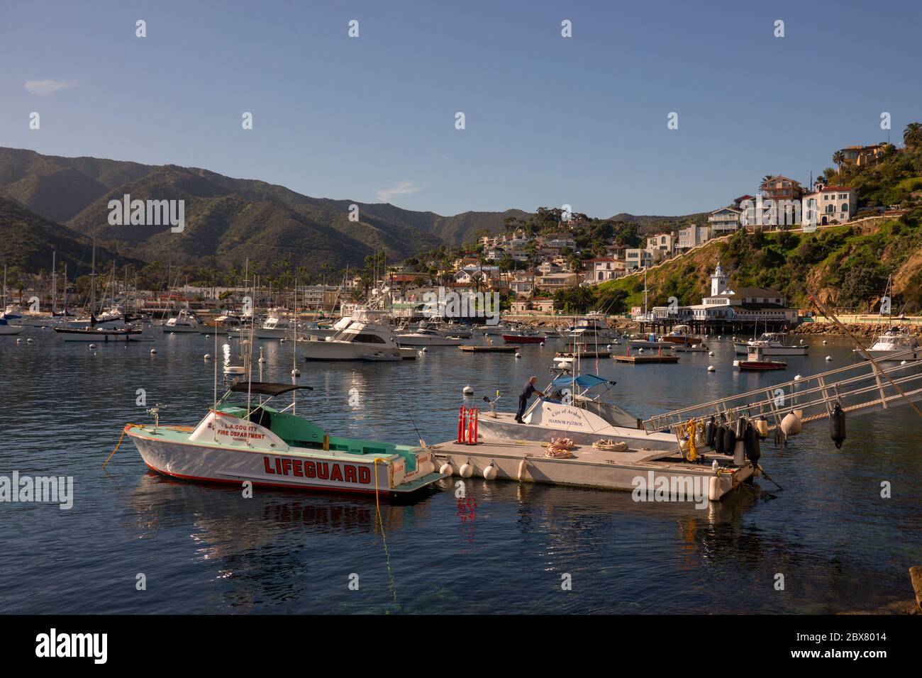 Avalon harbor on Catalina Island CA Stock Photo - Alamy