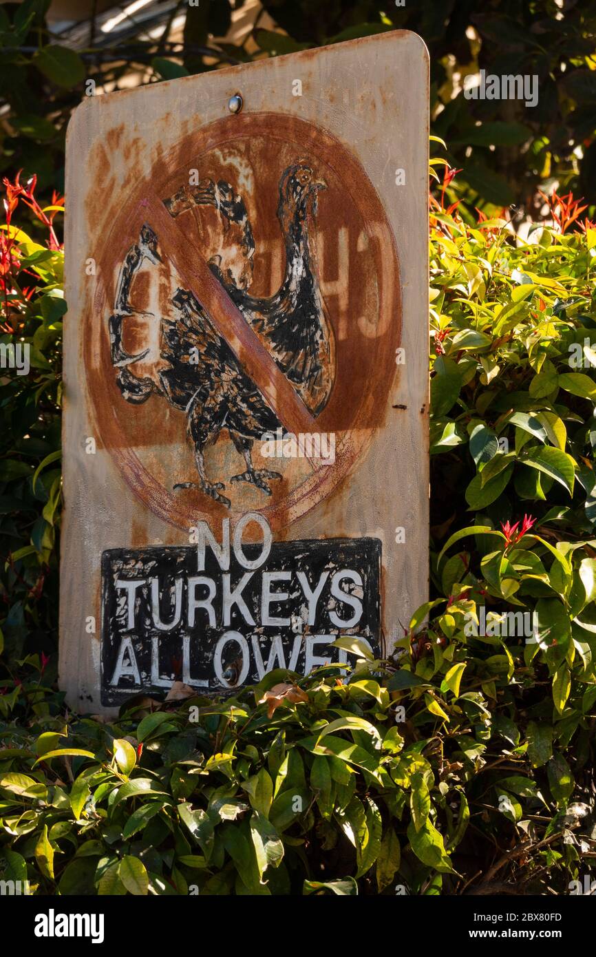 No turkeys allowed hi-res stock photography and images - Alamy