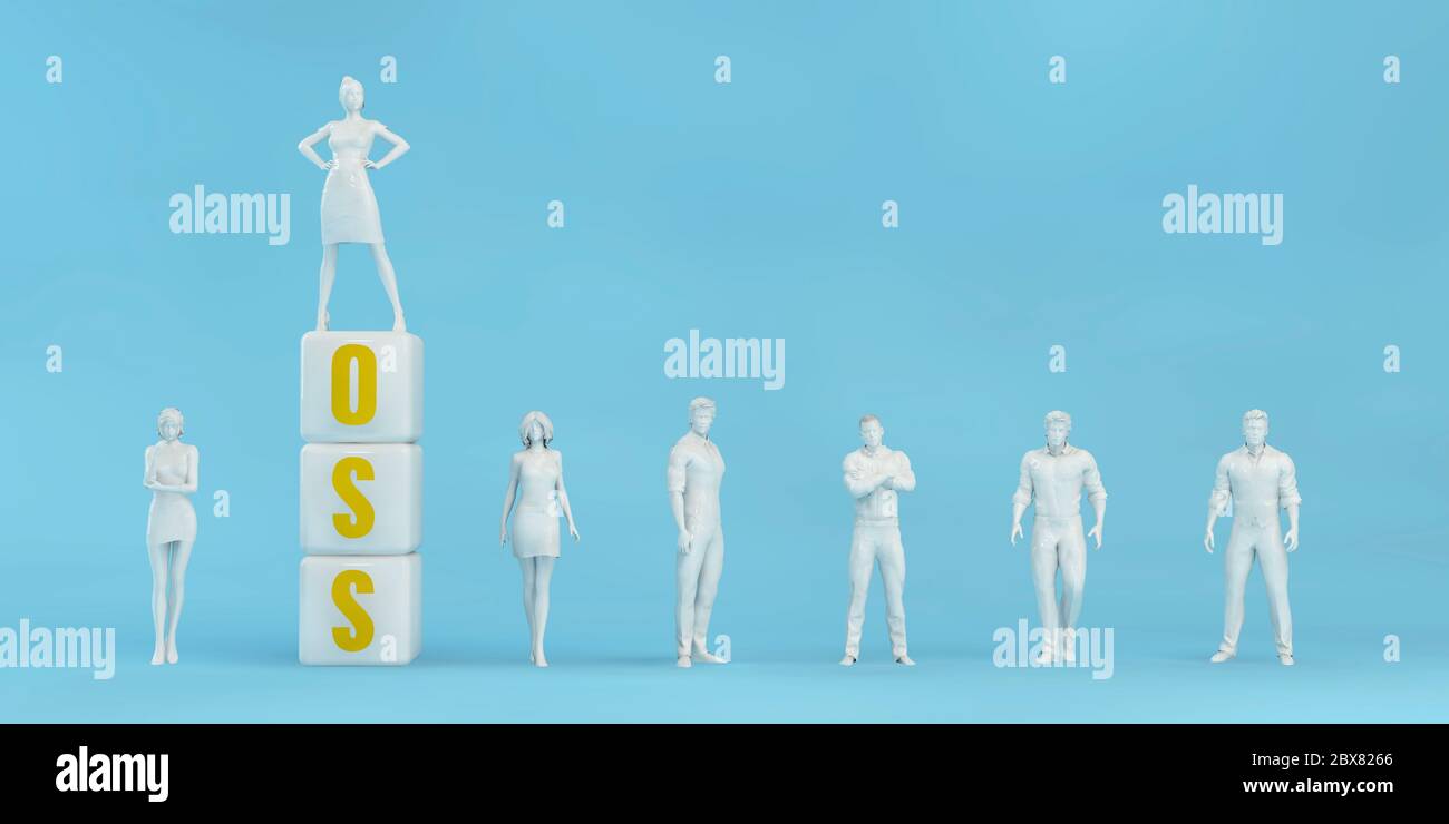 OSS Operations Support System Successful Solutions and Services Stock ...