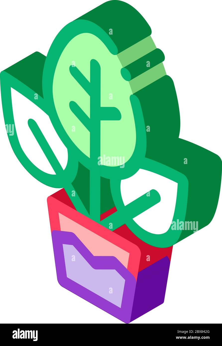 Plant In Pot isometric icon vector illustration Stock Vector Image ...