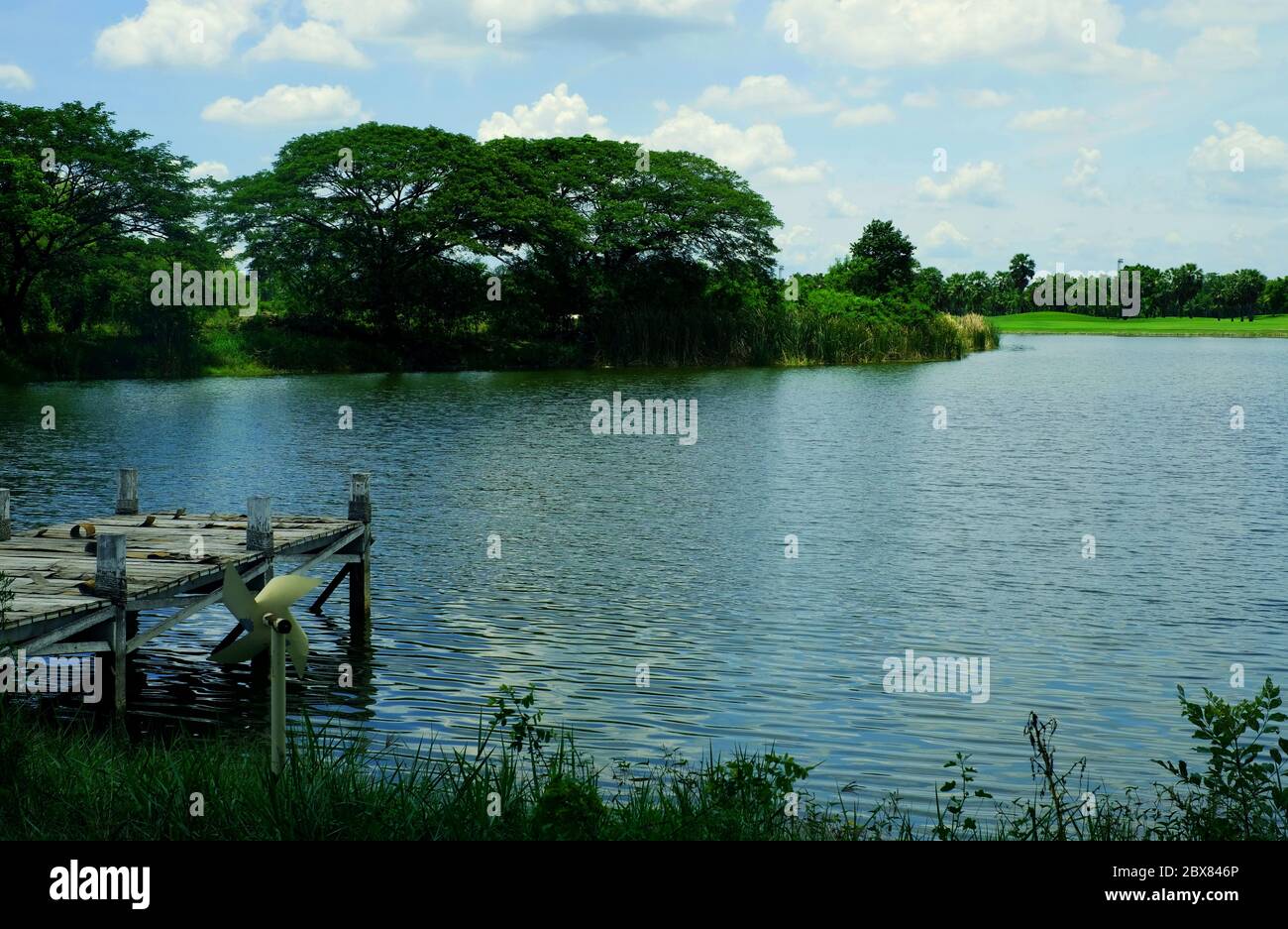 Wood pontoon in vast pond and green trees Stock Photo - Alamy