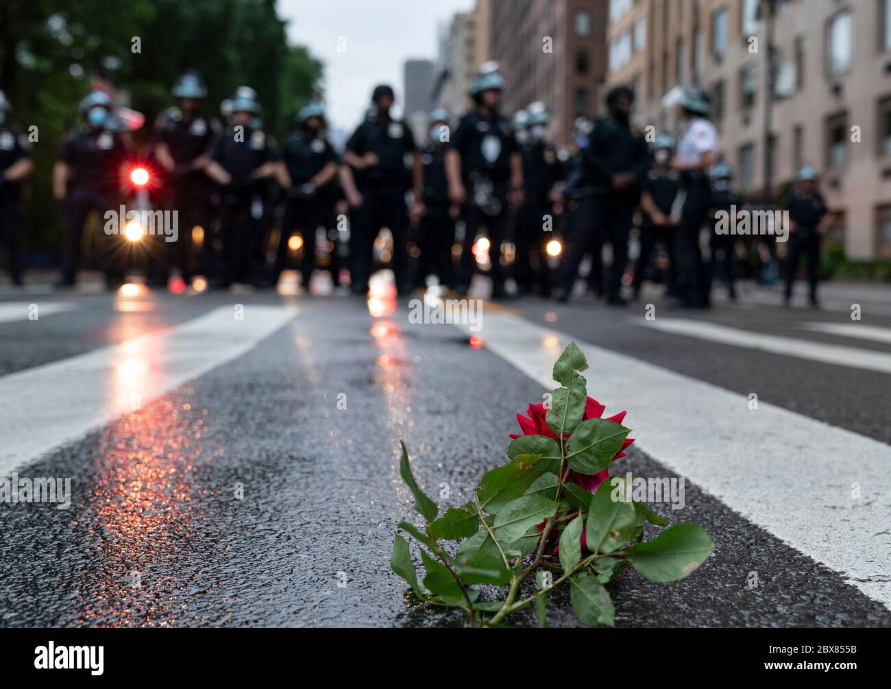 New York, NY - June 5, 2020: Protester left red rose on a ground in ...