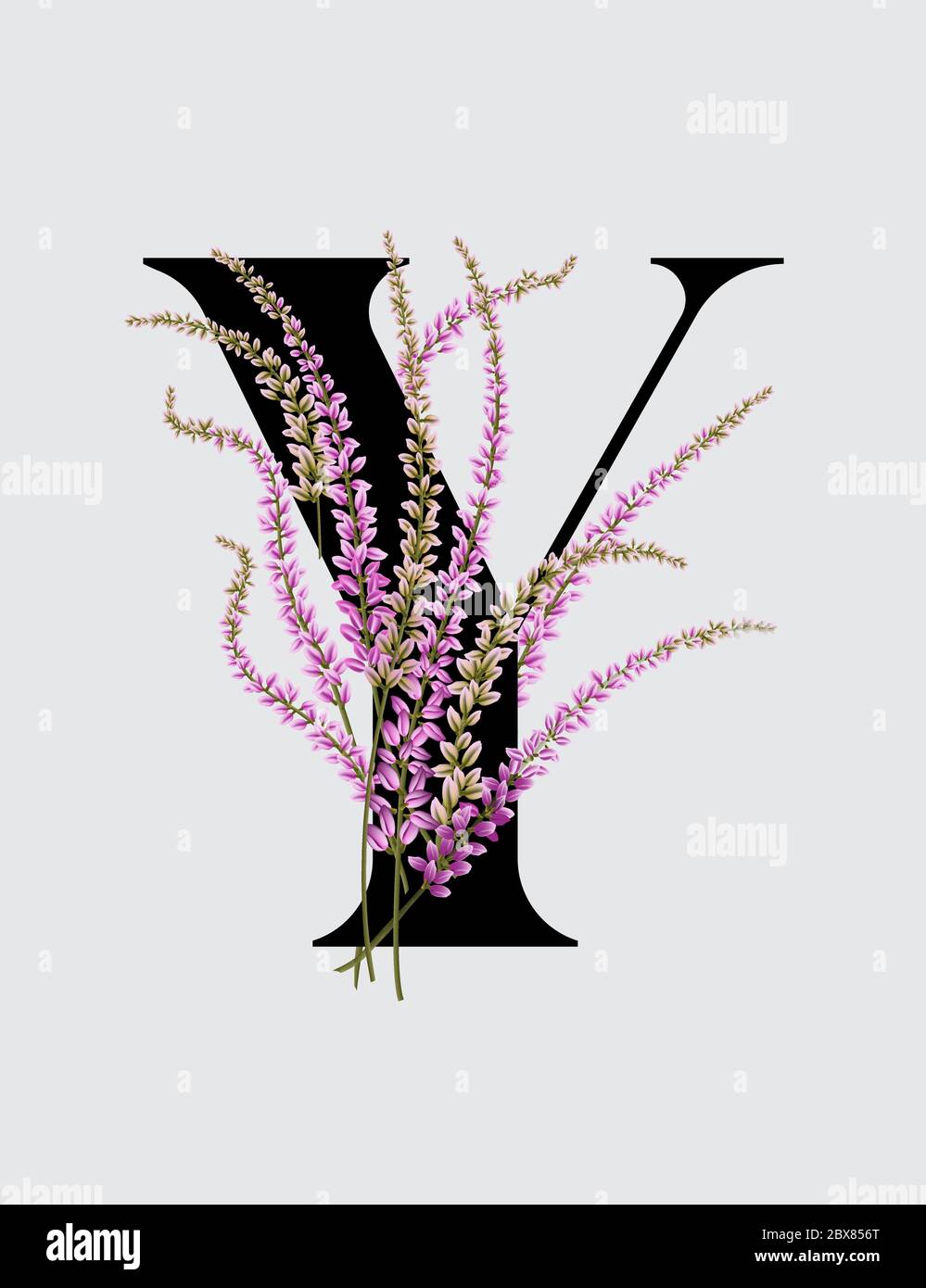 Polly Stock Vector Images - Alamy