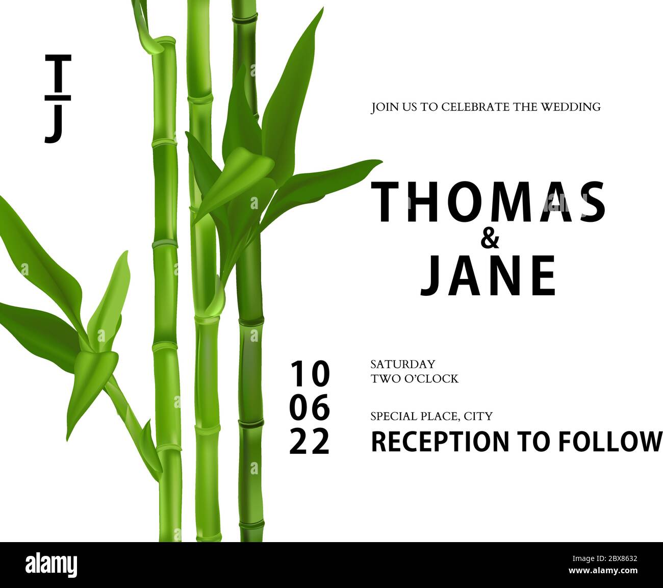 Bamboo grass eco evergreen tree with leaves isolated on white ...