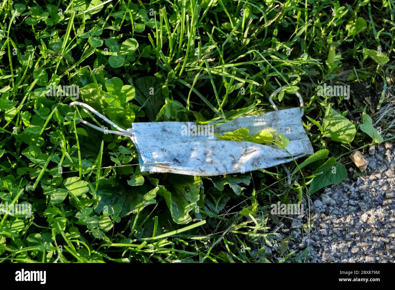 Discarded surgical mask for germ protection. PPE (personal protective ...