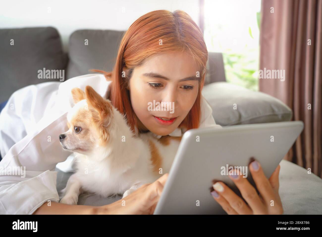 Work dog hi-res stock photography and images - Alamy