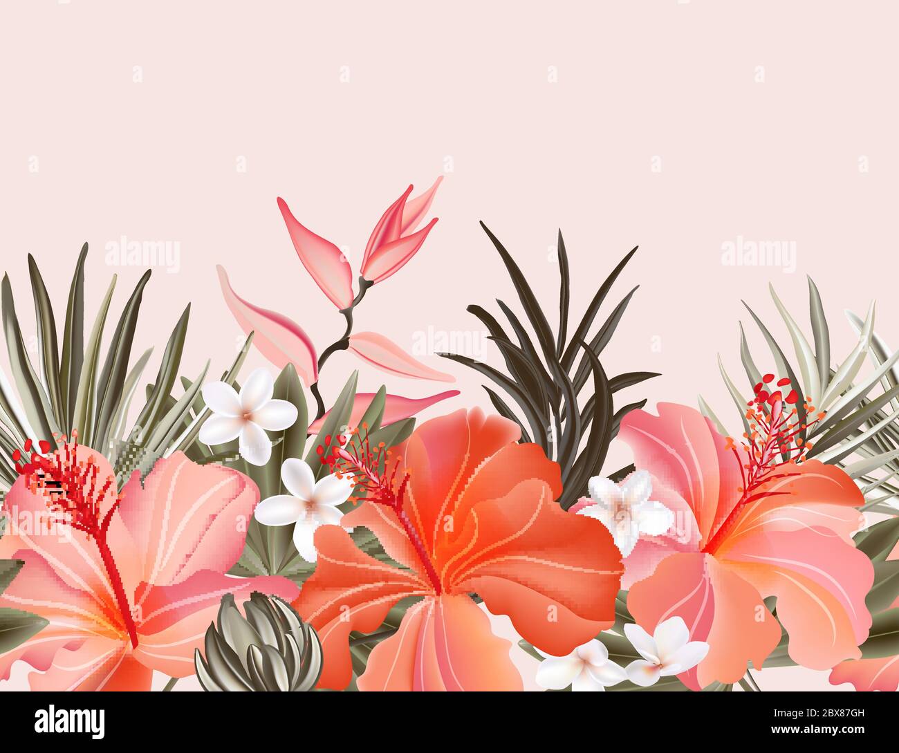 Exotic Flower Borders And Frames