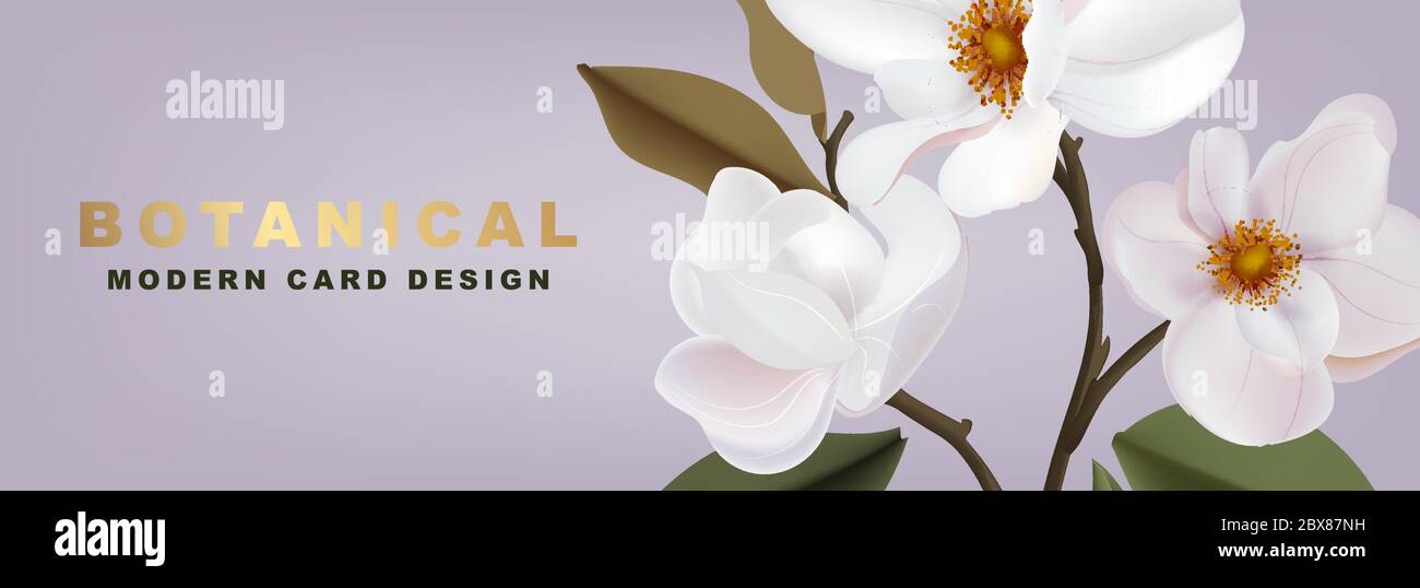 White Magnolia romantic floral advertising: promotion banner, greeting ...