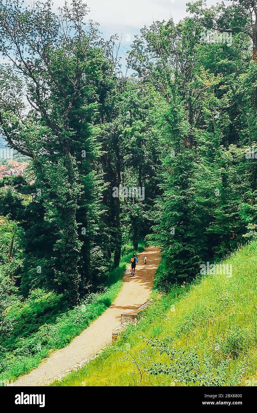 Walk along a forest path hi-res stock photography and images - Alamy