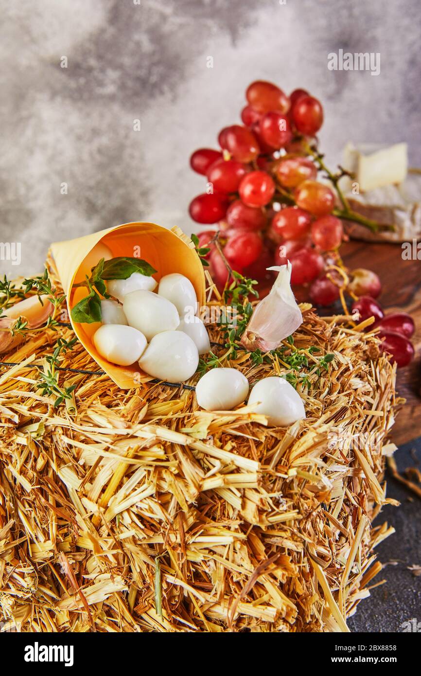 Baby mozzarella cheese on a hay with garlic and grapes on a gray-blue ...