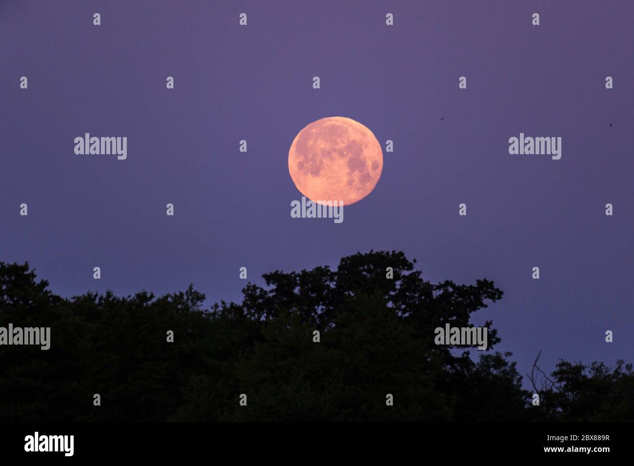 June full moon setting hi-res stock photography and images - Alamy