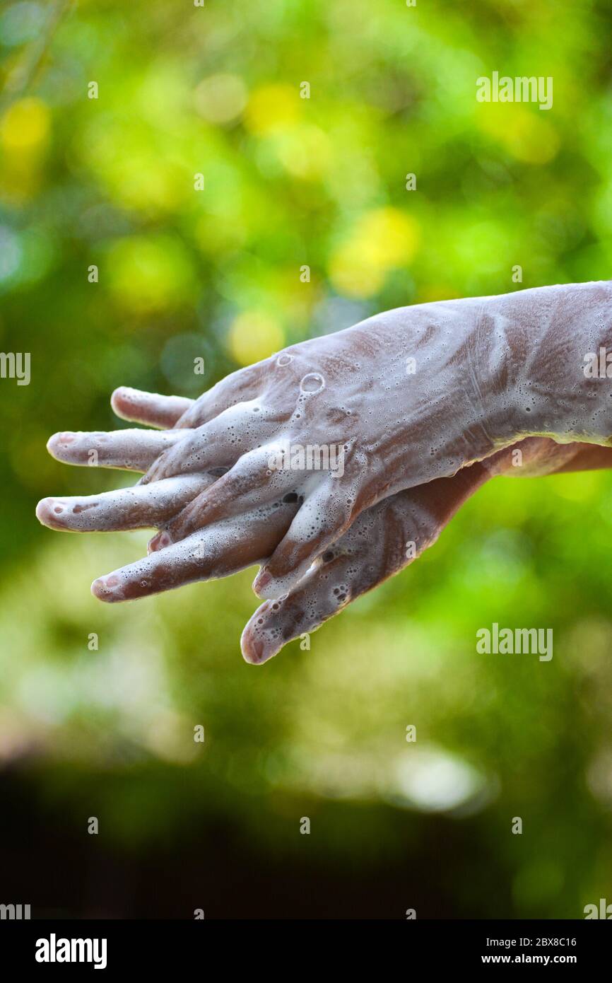 Washing hands with soap. Cleanliness and body care concept Stock Photo ...