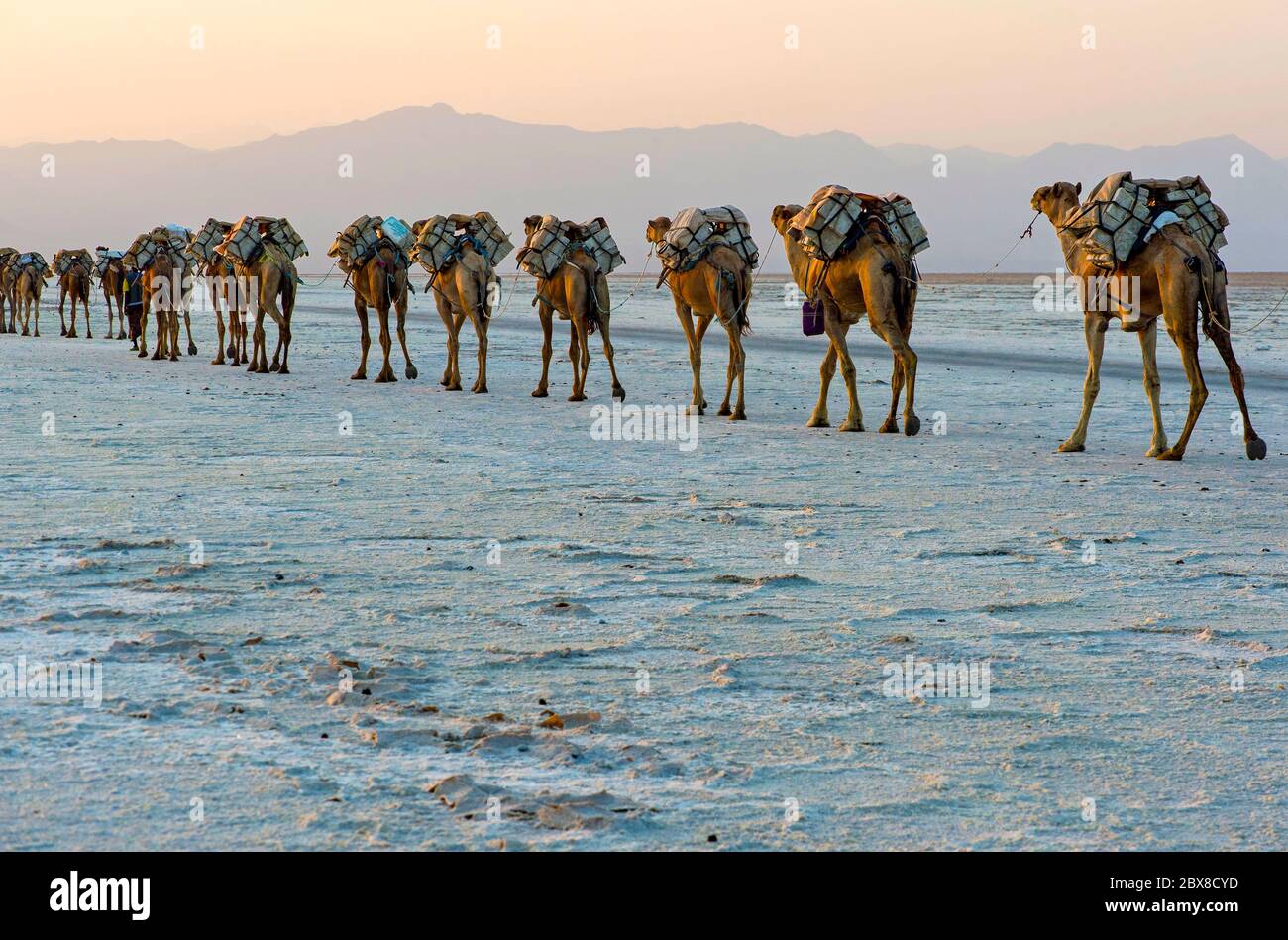 Caravans desert hi-res stock photography and images - Alamy