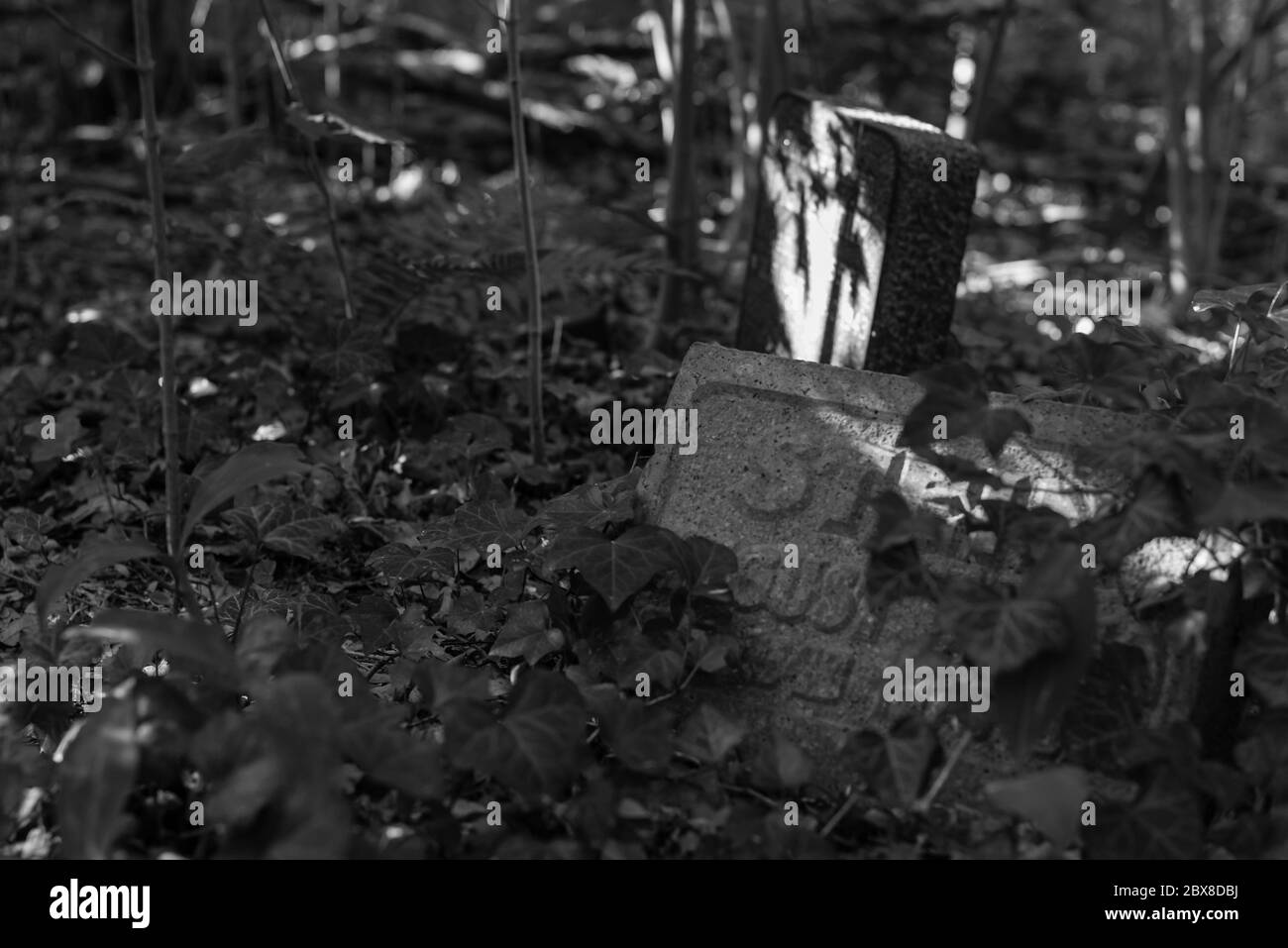 Old graves in a forest, old cemetery, graves no one cares about ...