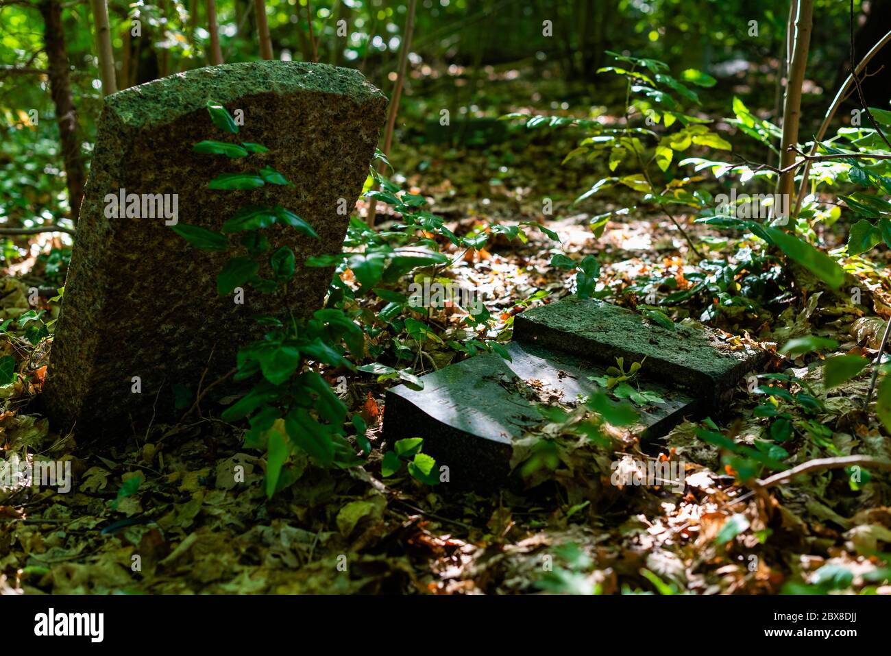 Old graves in a forest, old cemetery, graves no one cares about ...