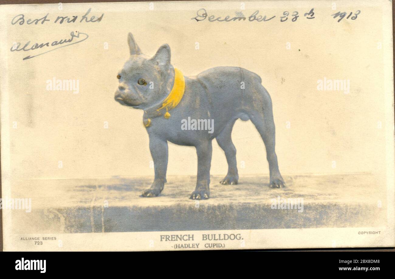 Bas-relief portrait with glass eyes of Hadley Cupid, French Bulldog ...