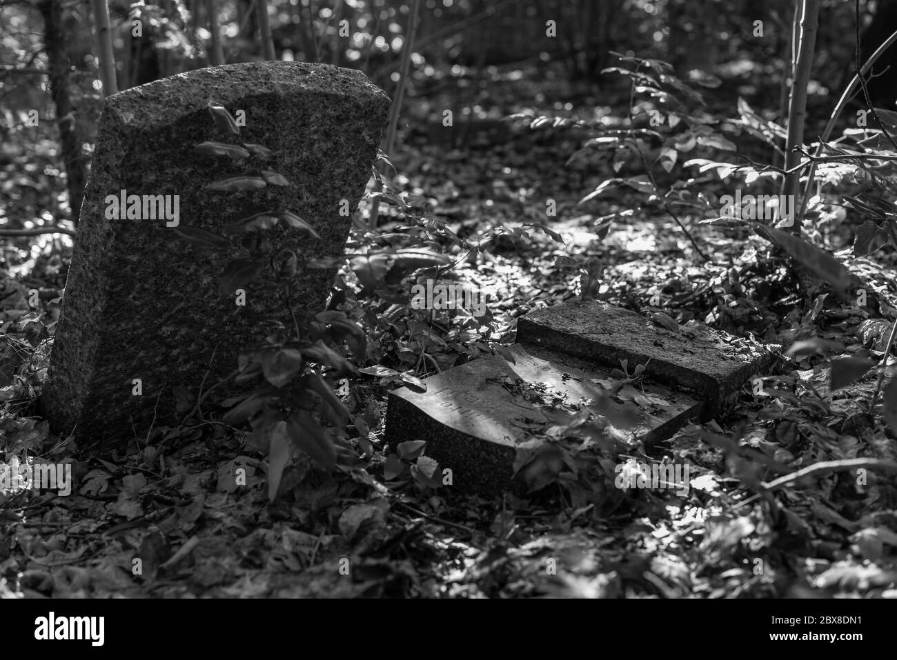 Dark Cemetery Graves