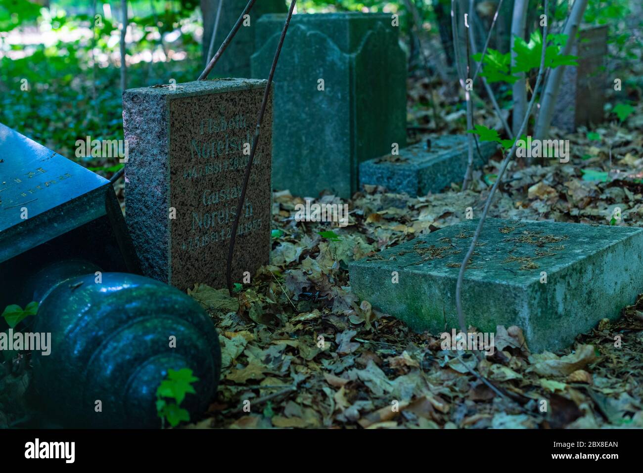 Old graves in a forest, old cemetery, graves no one cares about ...