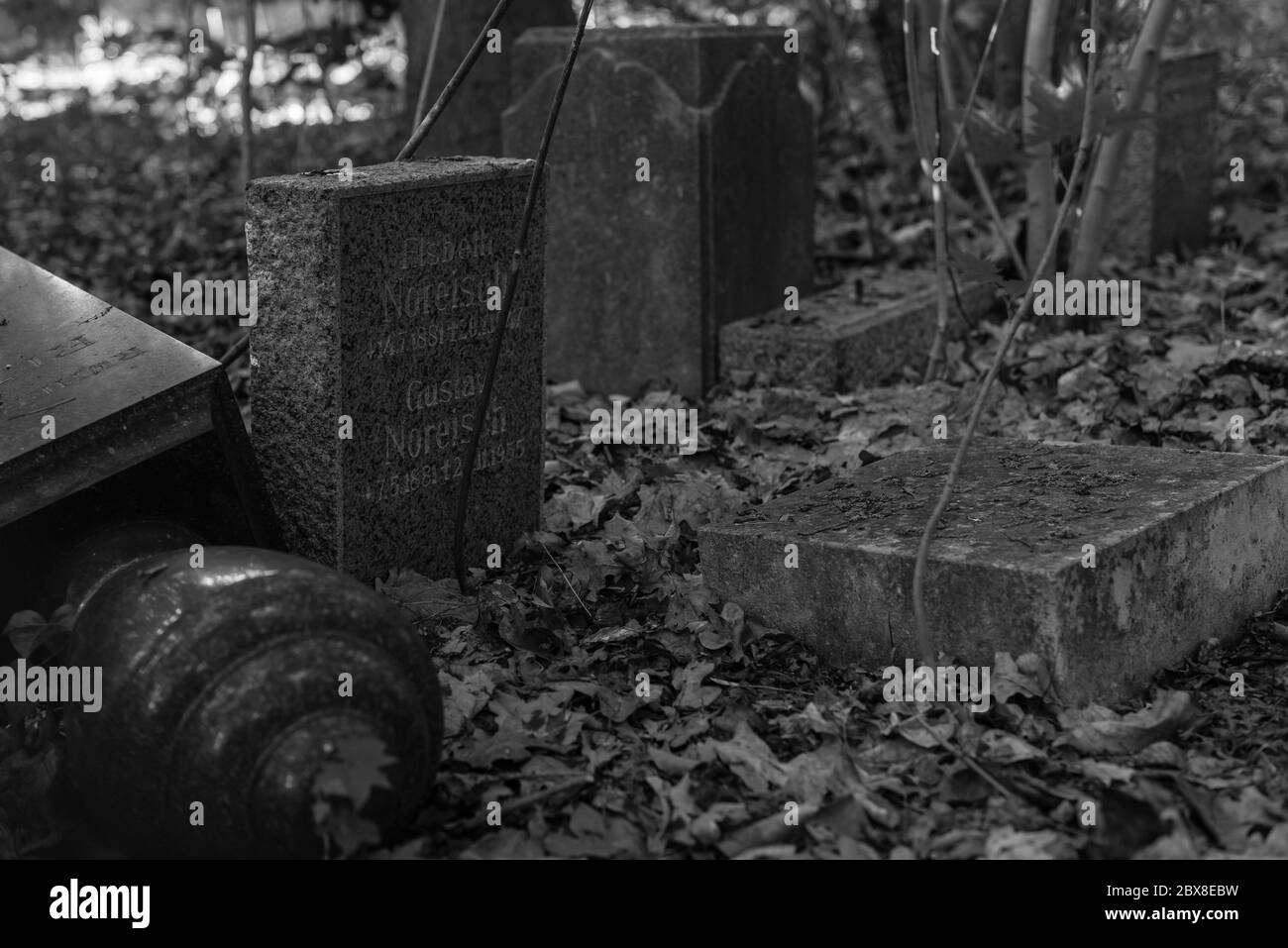 Old graves in a forest, old cemetery, graves no one cares about ...