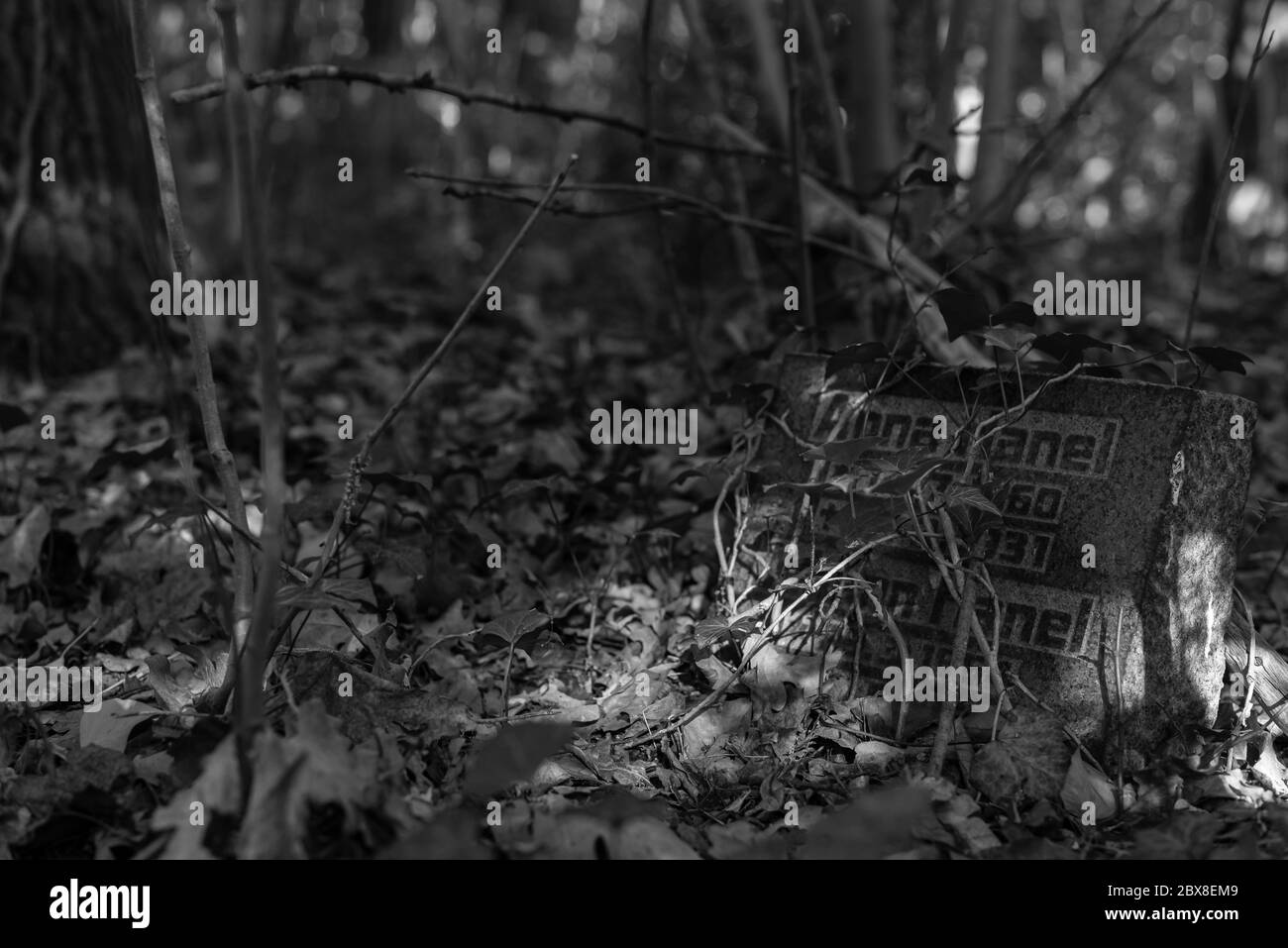 Old graves in a forest, old cemetery, graves no one cares about ...