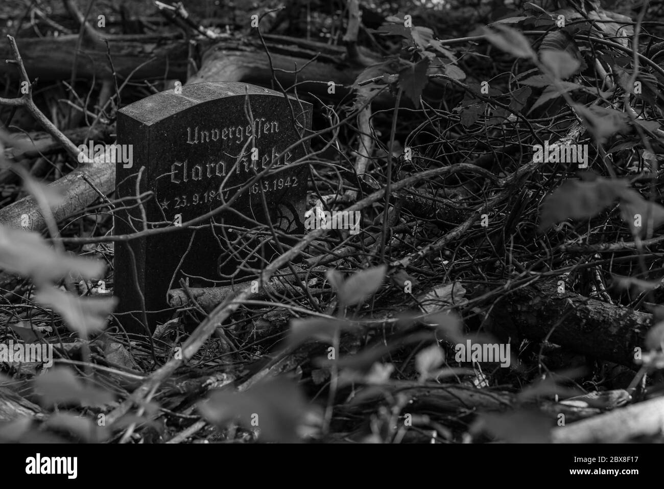Old graves in a forest, old cemetery, graves no one cares about ...