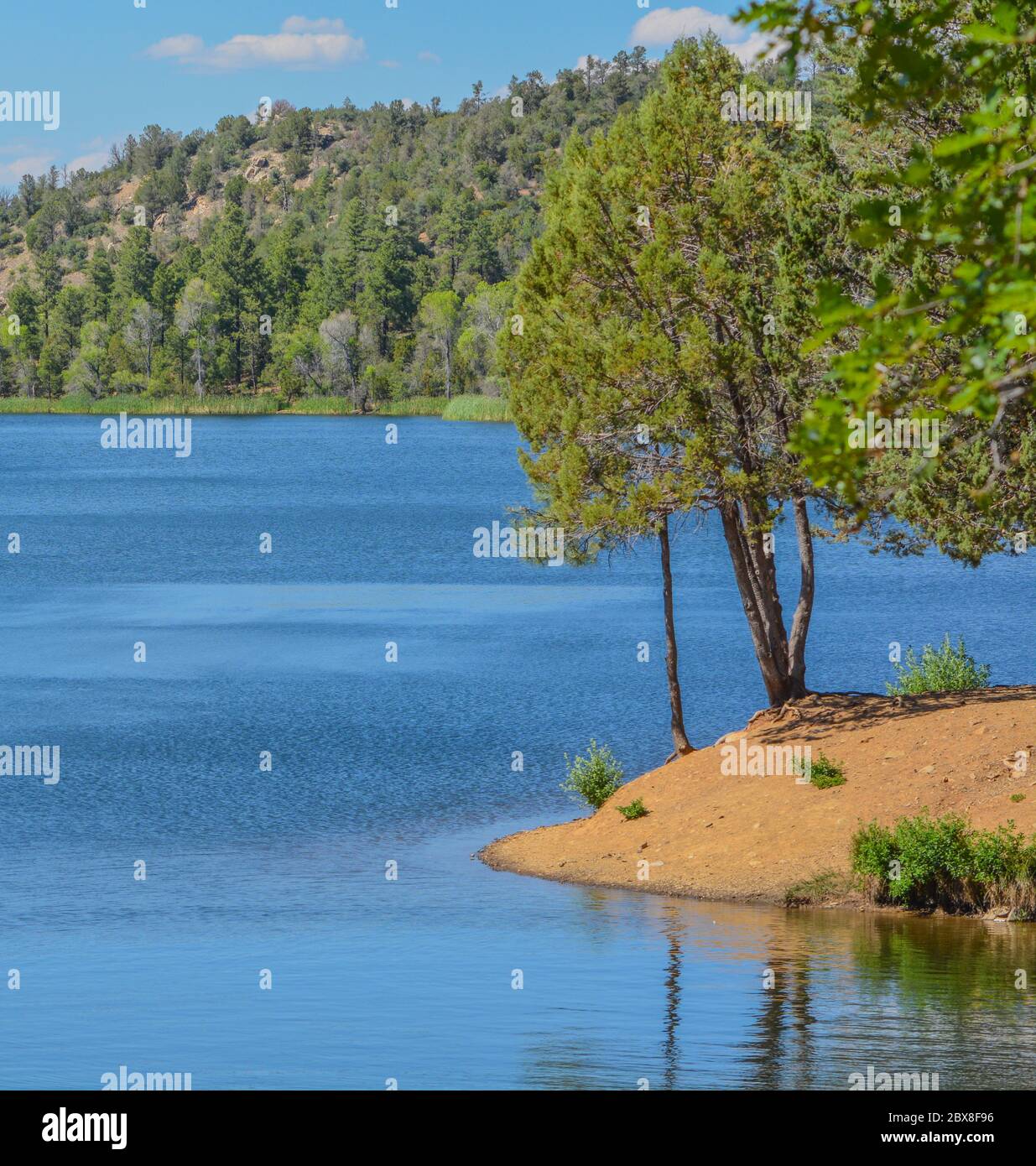 Beautiful view over lynx hi-res stock photography and images - Alamy