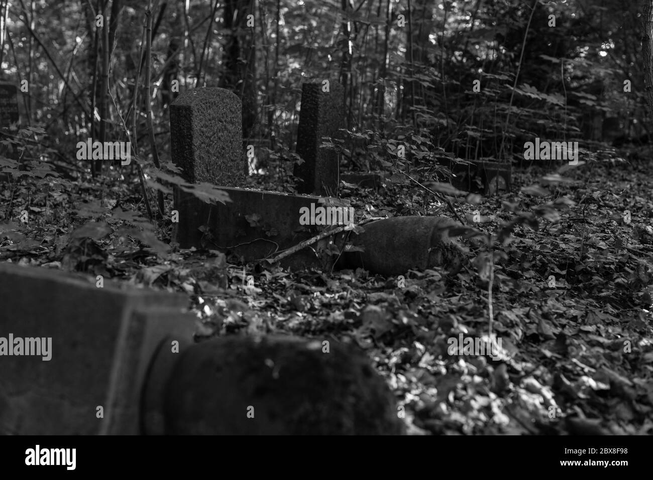 Old graves in a forest, old cemetery, graves no one cares about ...