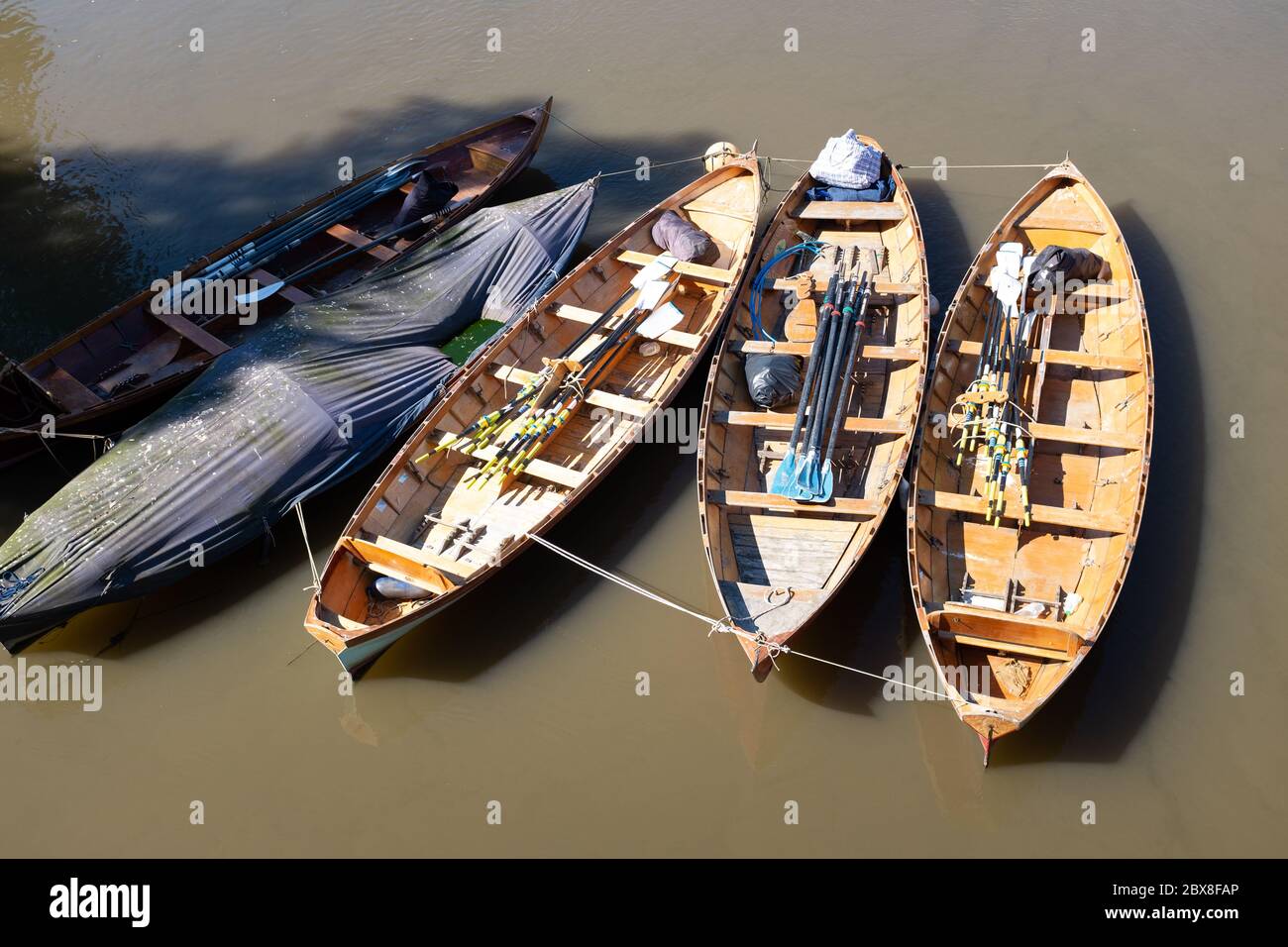 Three rowing boats on River Thames at Richmond Stock Photo - Alamy