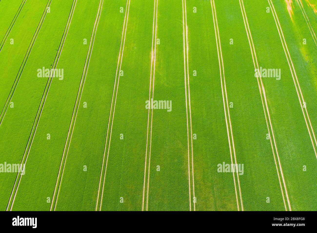 Aerial view over green lush agricultural crop fields Stock Photo - Alamy