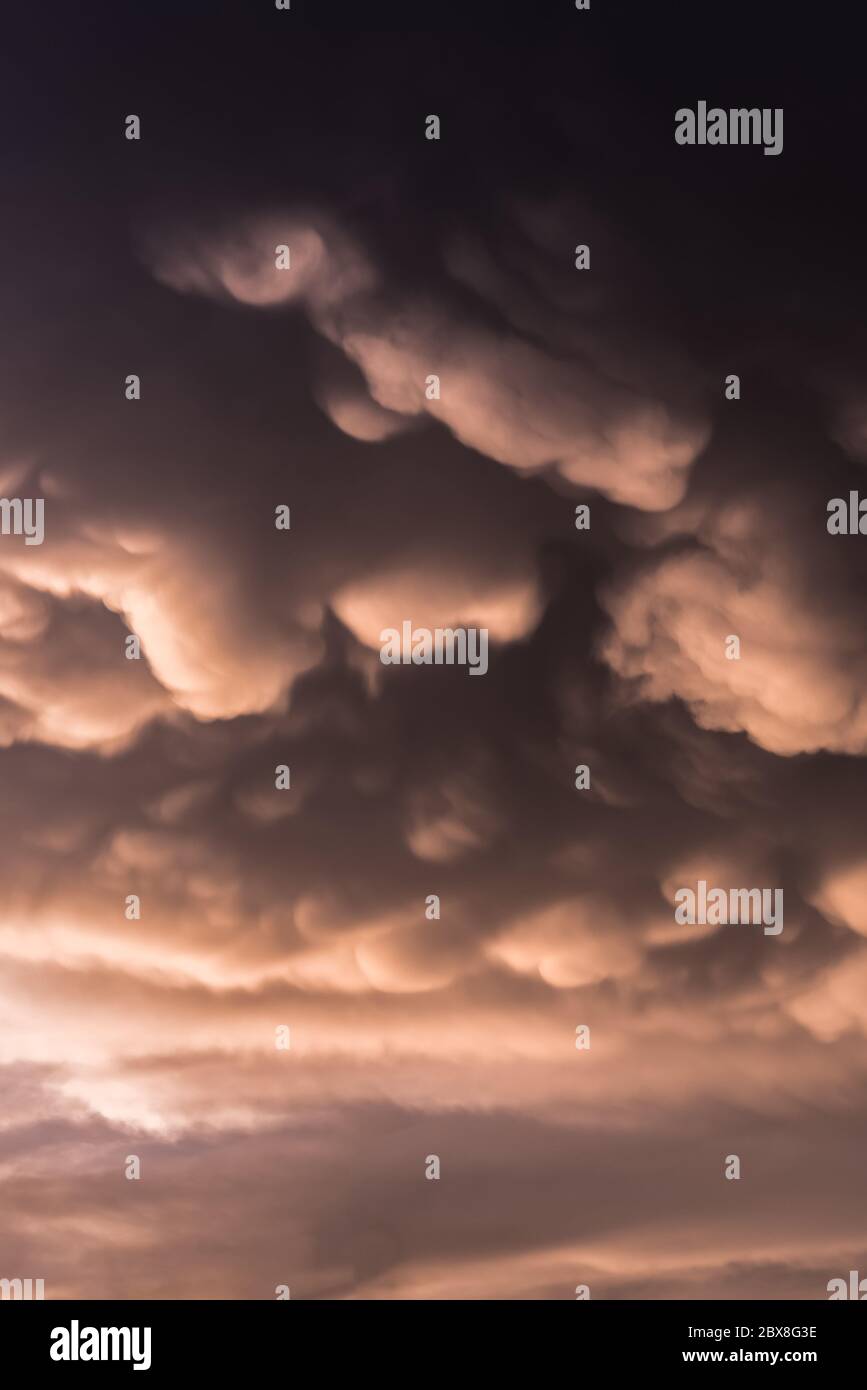 Mastodon cloud hi-res stock photography and images - Alamy