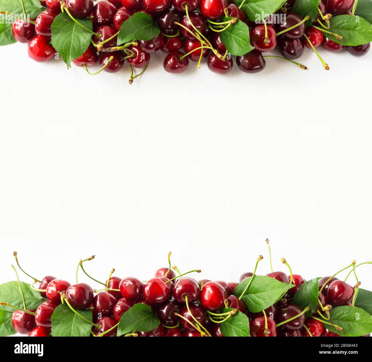 Fresh red cherries at border of image with copy space for text ...