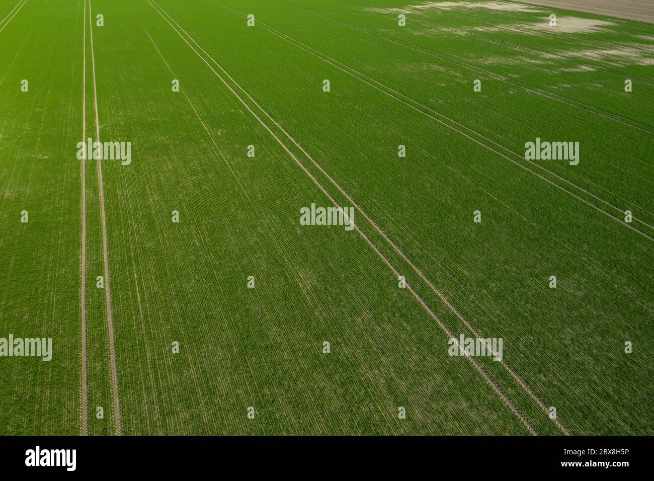 Aerial grass field hi-res stock photography and images - Alamy