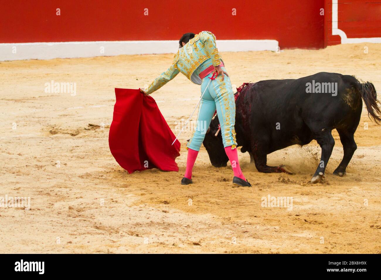 Bull goring bullfighter hi-res stock photography and images - Alamy