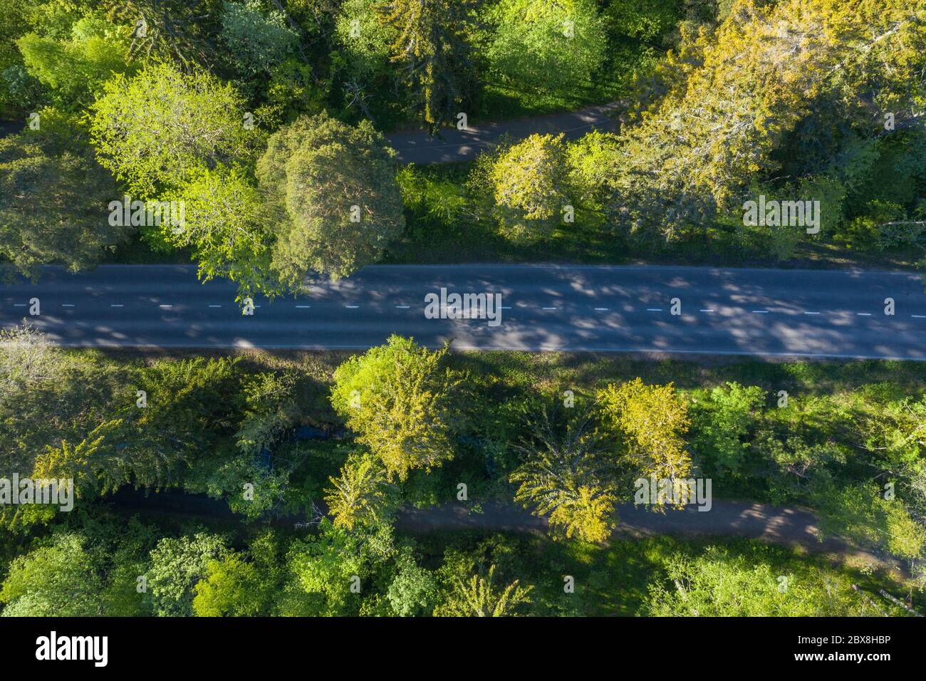 Aerial view of a road in forest in summer Stock Photo - Alamy