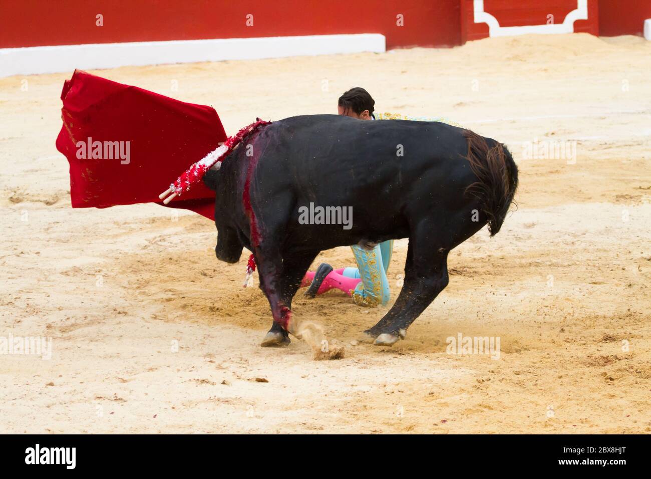 Bull goring bullfighter hi-res stock photography and images - Alamy