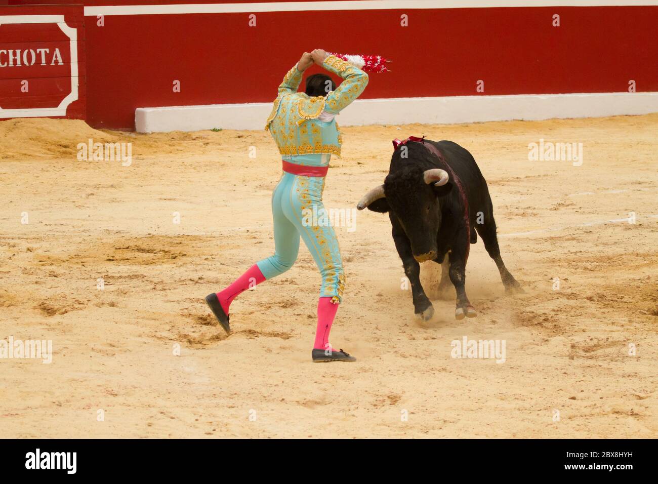 Bull goring bullfighter hi-res stock photography and images - Alamy