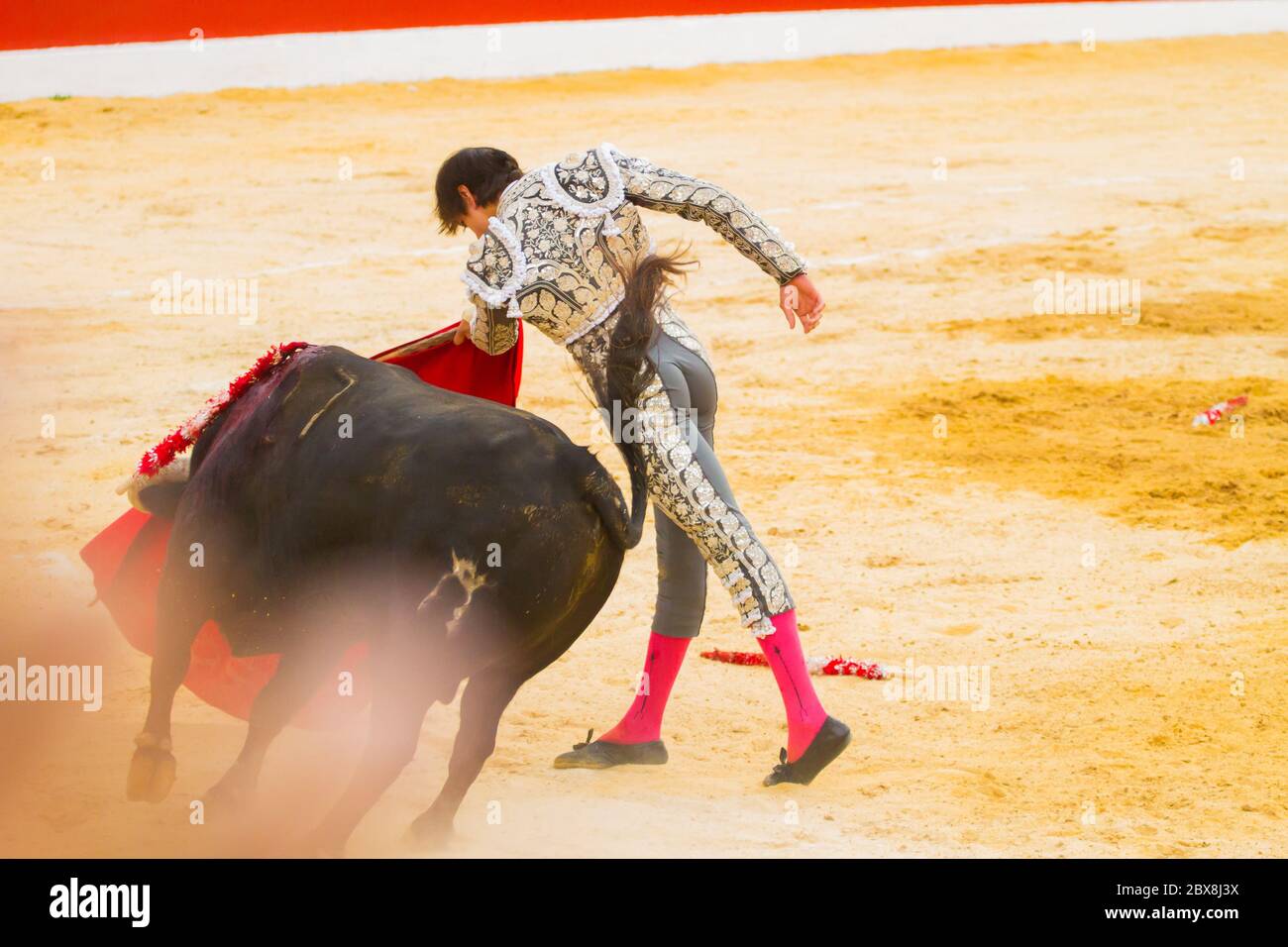 Sport bullfight bullfight ecuador hi-res stock photography and images ...