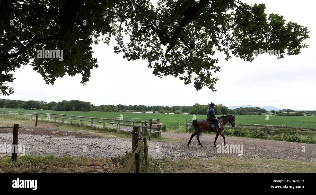 Morning exercise for the horses at Granery Farm gallops in Strensham ...